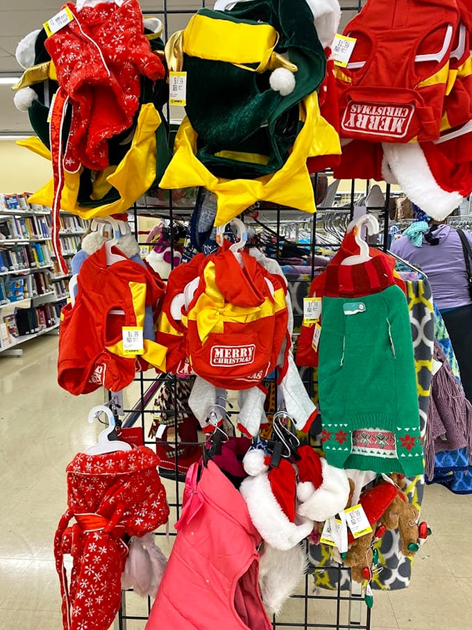 Santa's off-season wardrobe sale! These festive pet outfits are ready to make your furry friend the star of every holiday card.