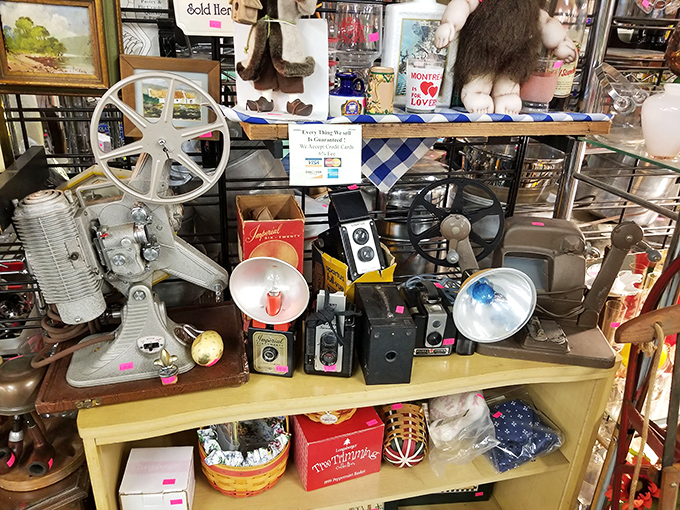 Vintage cameras and projectors – mechanical time machines from when "posting a photo" required darkrooms and patience, not just a thumb tap.