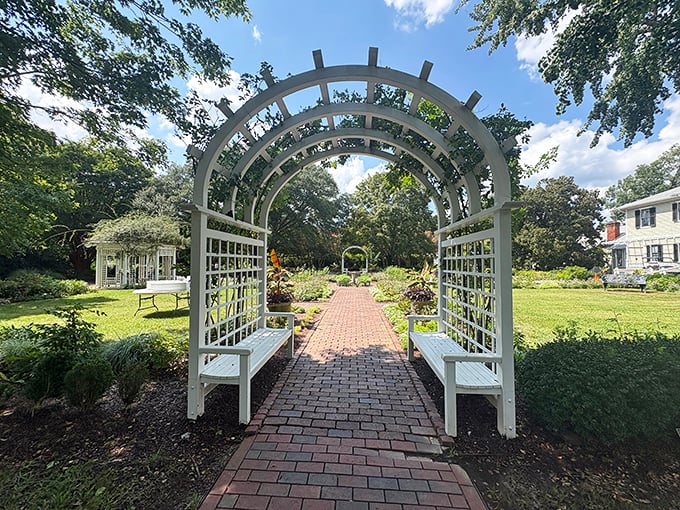 This garden archway doesn't just frame the path ahead—it frames possibilities. Like walking through a portal to a more beautiful world.