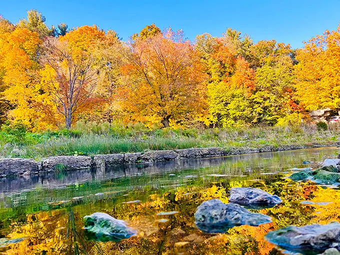 Autumn's reflection creates a double feature of fall splendor. Nature showing off like your neighbor with the too-perfect holiday decorations.