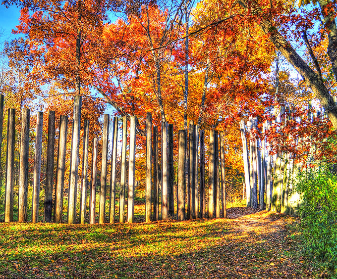 Fall foliage creates a fiery backdrop for the wooden palisade—Mother Nature's special effects department working overtime to impress visitors.