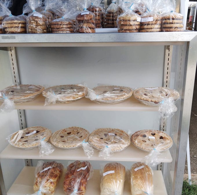 Pie perfection awaits beneath plastic wrap—these homemade creations with golden crusts and bubbling fillings make grocery store bakeries hang their heads in shame.