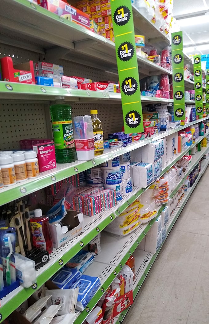 The cleaning supply aisle stands as a monument to practical living—where household heroes arm themselves for battle against grime.