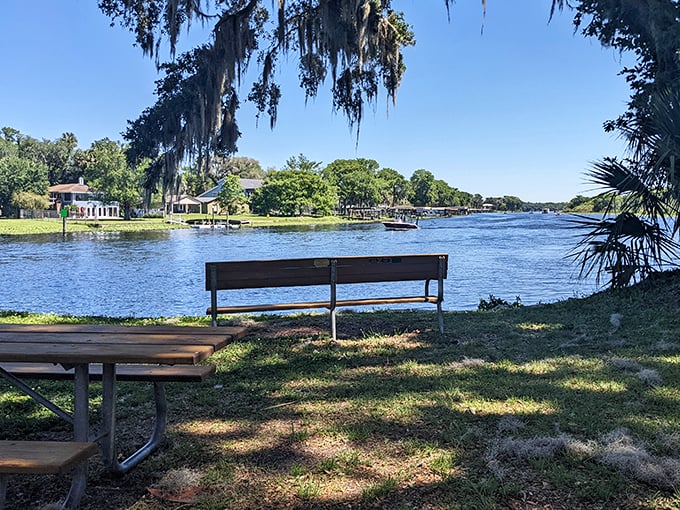 Riverside benches invite contemplation—or the perfect spot to enjoy that sandwich you've been thinking about since breakfast.