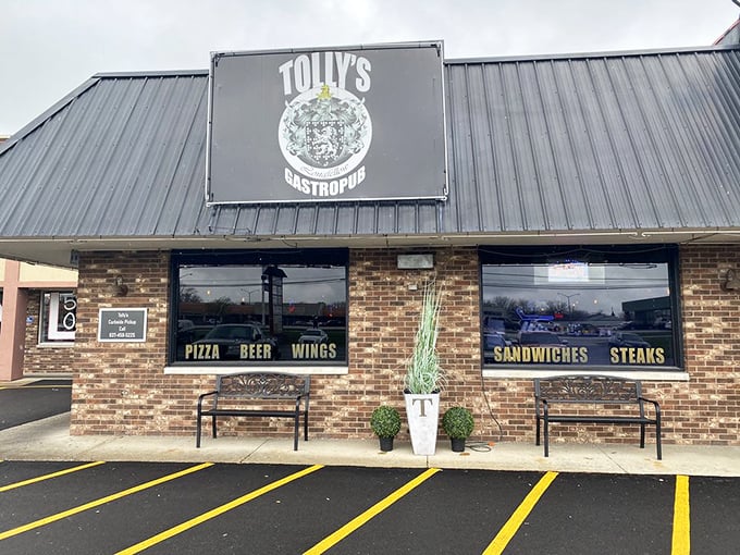Daytime reveals Tolly's practical side—sturdy benches, clean lines, and windows that let you know exactly what awaits inside.