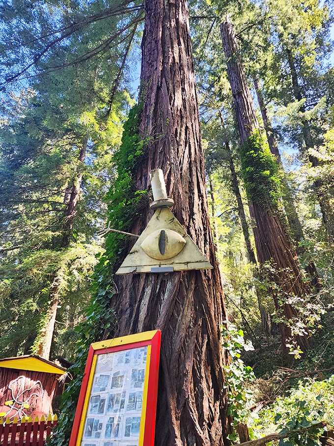 The mysterious triangle with an eye evokes supernatural vibes – like the redwoods themselves are watching your every move.
