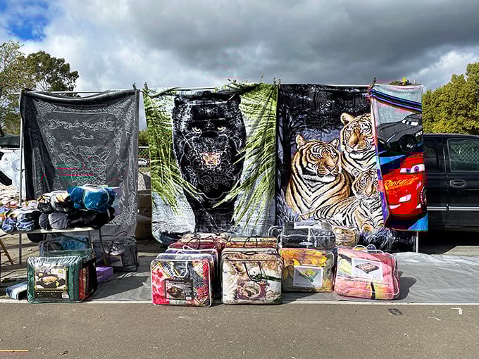 Blankets featuring everything from tigers to cartoon characters – because nothing says "my house, my rules" like automotive-themed bedding.