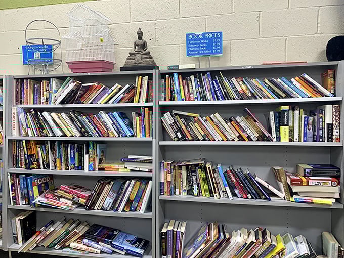 Books upon books—literary treasures at library sale prices, where dog-eared pages tell stories beyond what's printed on them.