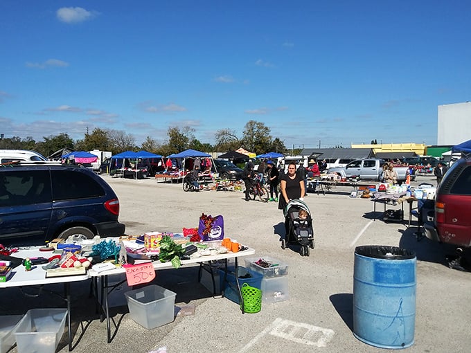 The market's landscape stretches toward the horizon, a democratic bazaar where everyone's dollar carries equal weight in the pursuit of bargains.
