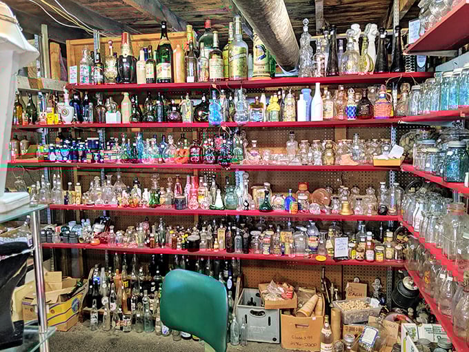 The bottle collector's dream corner. Each glass vessel tells a story of bygone beverages, medicines, and the art of packaging before plastic ruled.