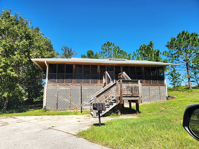 Cabin in the almost-wilderness – where "roughing it" includes screened porches and real beds. Lake Louisa's accommodations strike the perfect comfort-adventure balance.