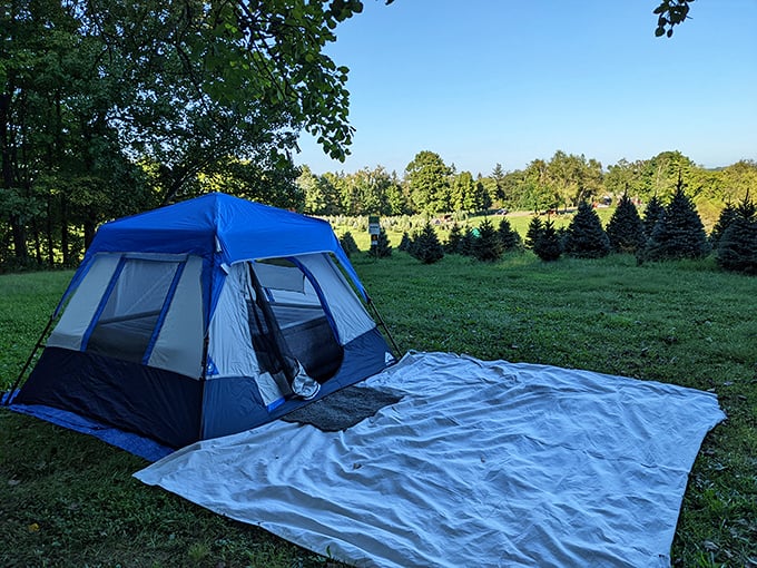 Camping at Heritage Farm offers a perfect blend of wilderness and comfort—just enough roughing it to feel adventurous, close enough to town for coffee.