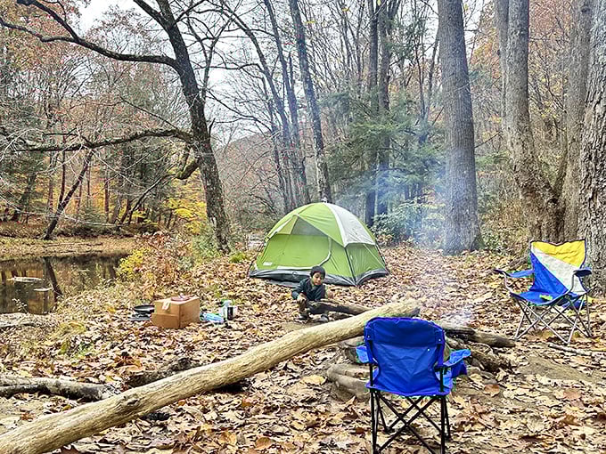 Fall camping at its finest—where the soundtrack is rustling leaves and crackling fires, not your neighbor's questionable playlist.