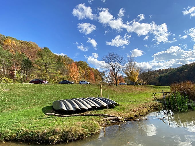 Canoes waiting patiently for their next adventure. Like loyal steeds ready to carry explorers across Dow Lake's shimmering surface.