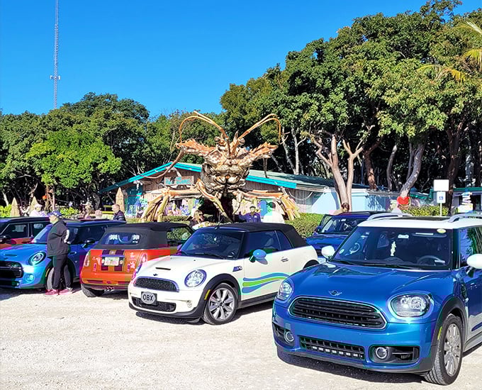The colorful array of cars suggests Betsy attracts a diverse fan club. Even Mini Cooper drivers aren't immune to the allure of oversized arthropods.