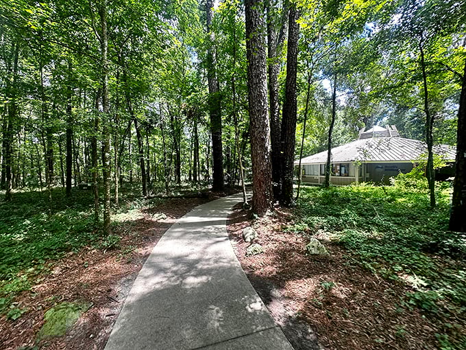The visitor center blends seamlessly into its woodland setting, offering information without interrupting your communion with nature.