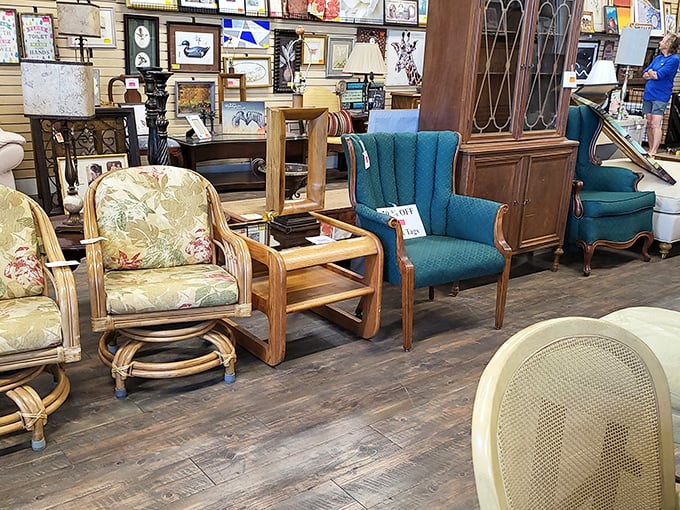 Chair lineup looking like they're auditioning for a furniture talent show. That teal wingback is definitely getting a callback.