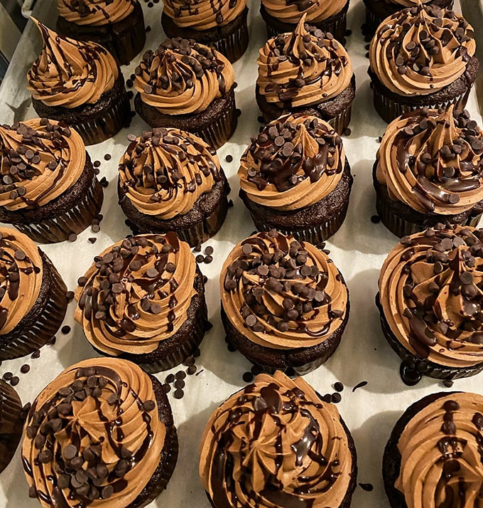 Chocolate cupcakes with precision-piped frosting standing at attention like delicious little soldiers. Those chocolate chips are the medals of honor.