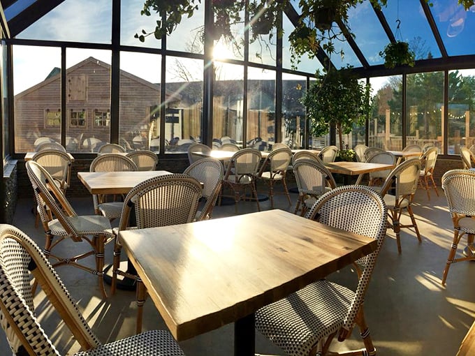 Sunlight streams through the glass ceiling, turning an ordinary lunch into a moment of transcendence. Or maybe that's just the cinnamon roll talking.