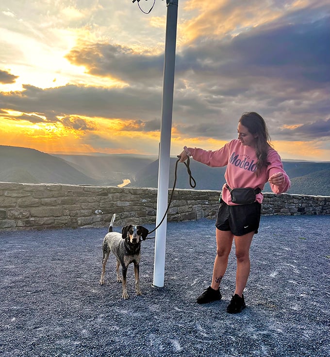 Sunset walks with four-legged companions make even the most spectacular views somehow better. Dogs don't care about Instagram, just that you're sharing the moment.