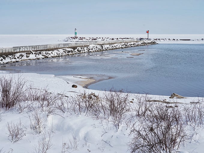 Snow blankets the winter landscape in pristine white, while the partially frozen lake reminds you of nature's remarkable resilience.