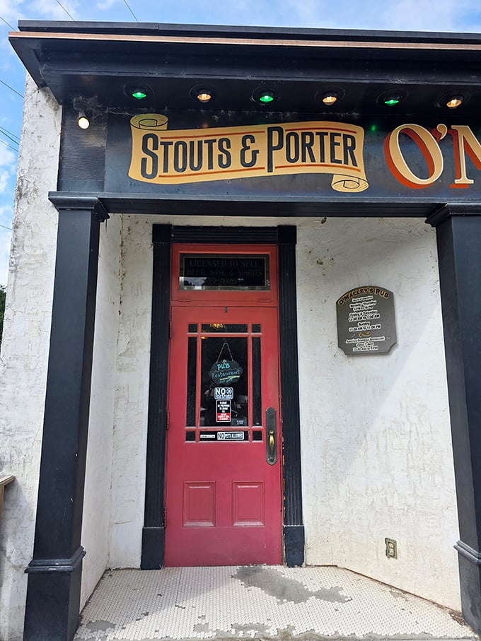 The iconic red door serves as a portal to underground adventures – step through and leave the ordinary world behind for limestone cellars and perfectly poured pints.