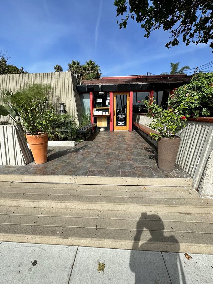 The entrance pathway feels like the start of a culinary adventure – lined with potted plants that have witnessed countless happy diners.