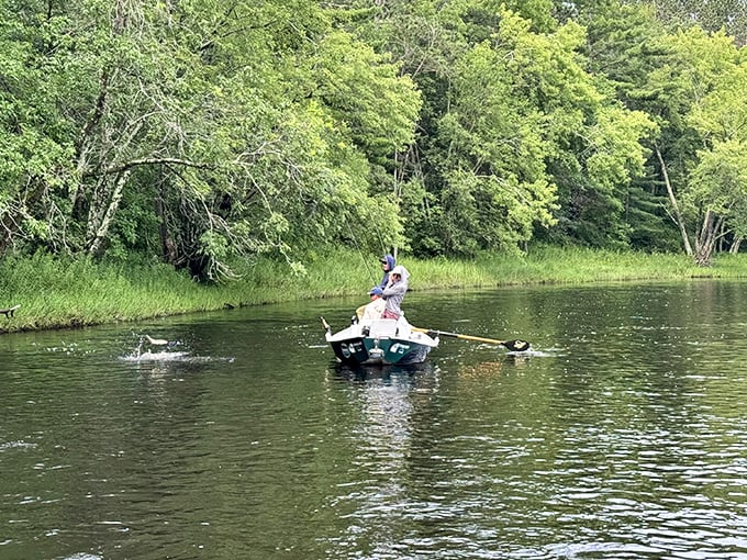 Fly fishing on Hayward's pristine waters isn't just a sport—it's a meditation session with the occasional interruption of an actual fish.