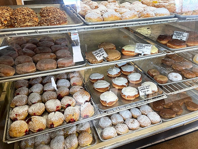 The donut case—a glass-fronted museum of edible art where every piece begs to be taken home and thoroughly appreciated.