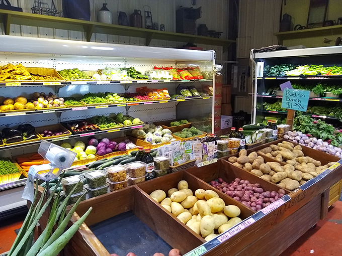 Produce so fresh it practically introduces itself. These vegetables didn't just fall off a truck—they leapt from nearby farms straight to your table.
