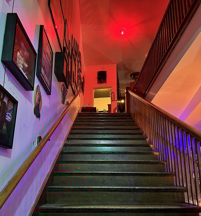The staircase bathed in red and purple light leads visitors deeper into the museum's macabre collection—no turning back now.