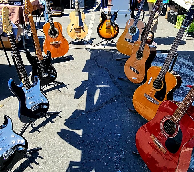Six-string heaven under the Oakland sky! This impromptu guitar gallery showcases everything from beach-ready acoustics to rock-star-worthy electrics, each with songs waiting to be played.