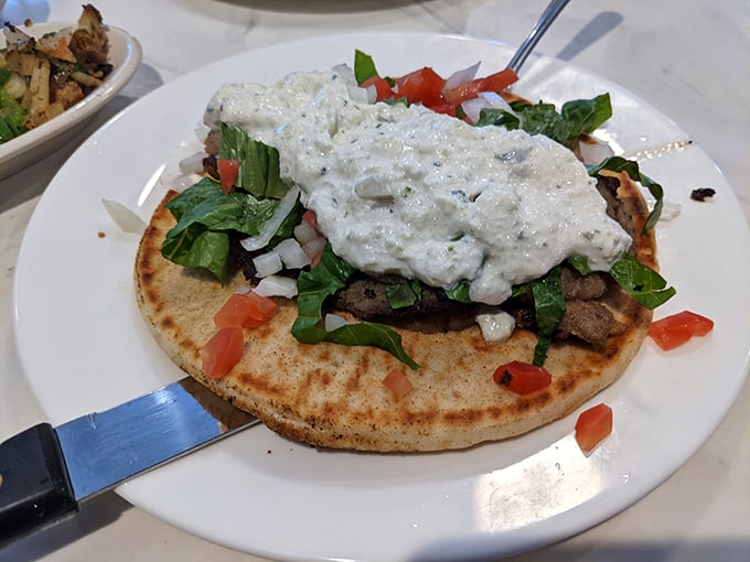 This isn't just a gyro – it's a Mediterranean vacation on a pita, complete with tzatziki that's cool enough to tame the Florida heat.