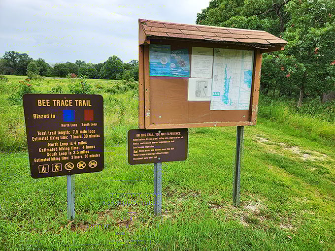 The Bee Trace Trail sign—where adventure begins and cell phone reception ends. Your legs will curse you, but your soul will say thanks.