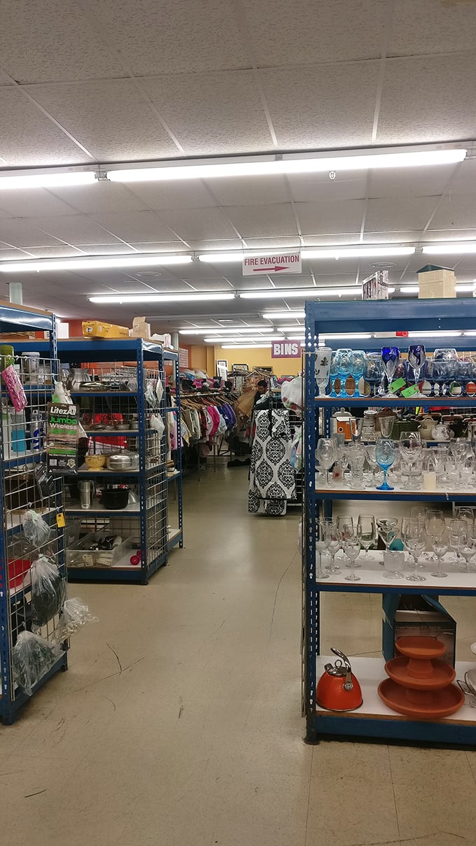 The industrial-chic interior keeps things honest – no fancy displays, just pure bargain-hunting bliss.