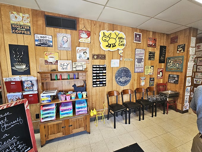 The wall of coffee signs isn't decoration—it's a manifesto. Yellow Cat takes its caffeine seriously, and the wood-paneled shrine proves it.