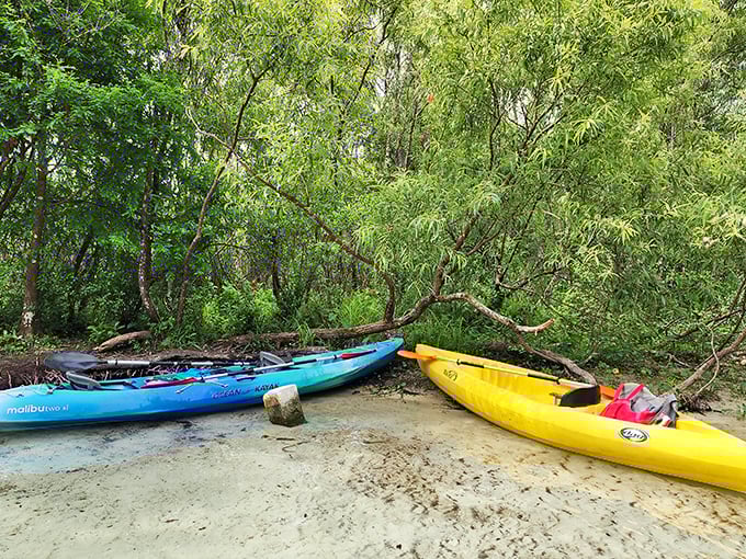 Beached kayaks waiting for their next adventure—like colorful carriages ready to transport you through Florida's liquid highways.