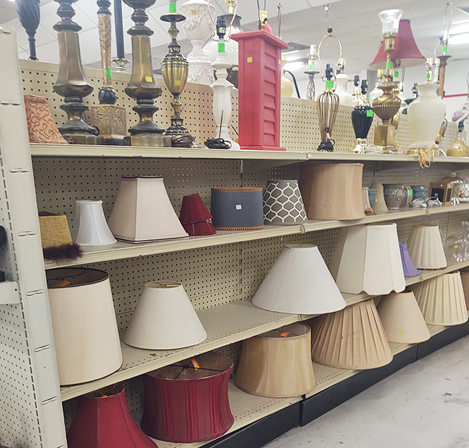 Lampshades and bases playing mix-and-match. Interior designers charge hundreds for the "eclectic look" you'll create for pocket change.