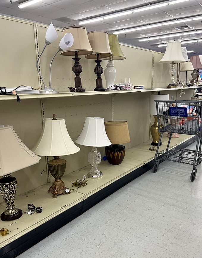 The lamp section illuminates more than just rooms—it brightens the realization that secondhand doesn't mean second-rate. Enlightening in every sense!