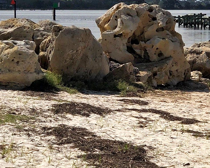 Nature's own breakwater system – limestone formations that have been perfecting their job description since before humans arrived with fishing poles.