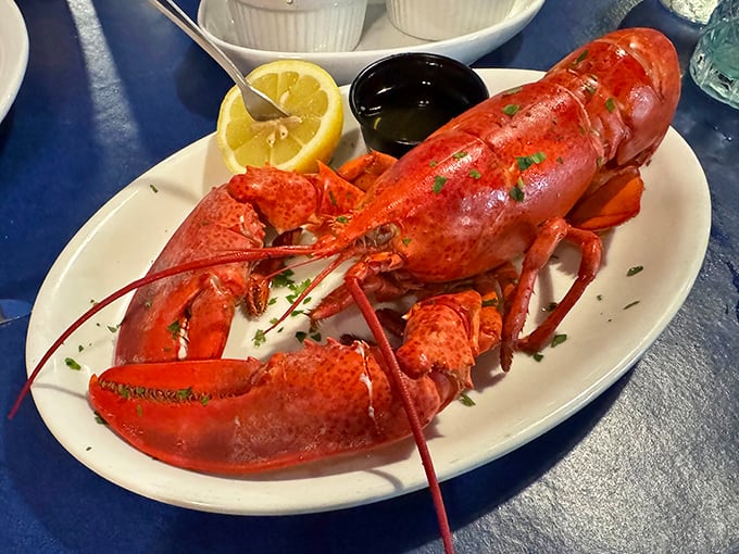 This isn't just a lobster; it's the guest of honor—bright red and ready for its butter bath, with a lemon wedge standing by for that perfect citrus kiss.