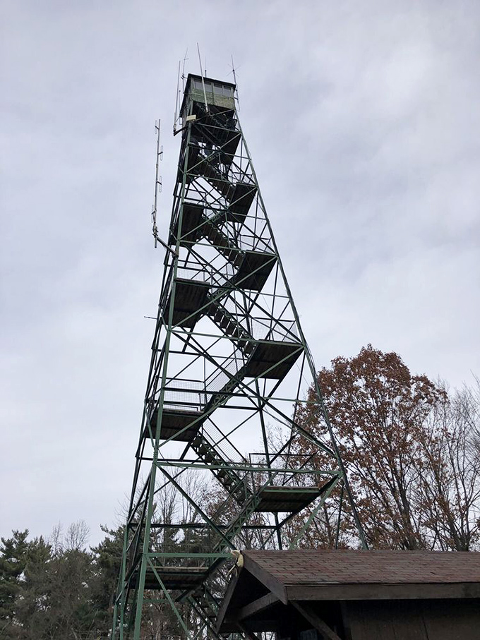 Each step up this tower is a countdown to gasps – the reward at the top makes those wobbly legs completely worthwhile.