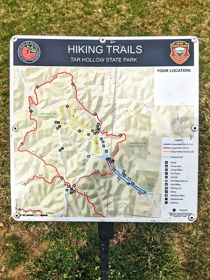 Adventure mapped and ready for taking. This trail guide promises 21 miles of Logan Backpacking Trail adventures—where "getting lost" might be the point. 
