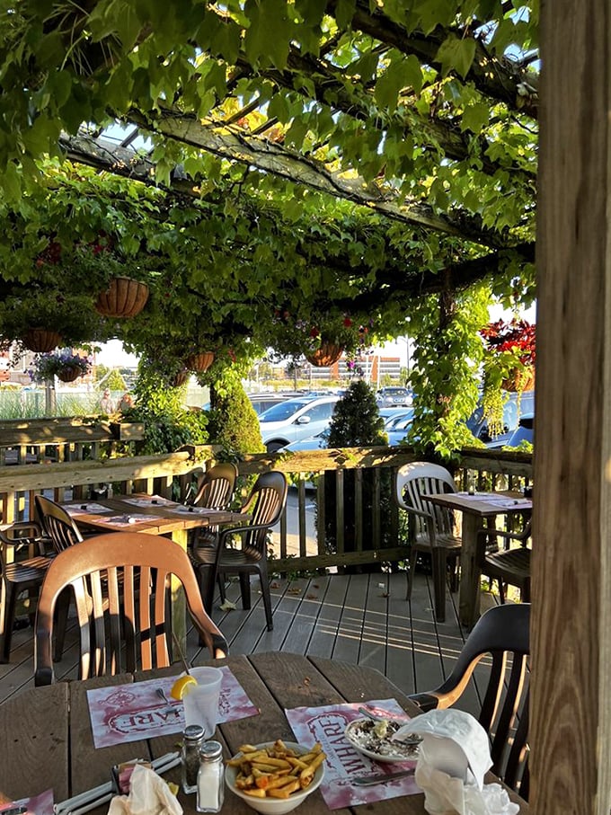 Outdoor seating under a grape canopy where Mother Nature provides the décor and Lake Erie provides the view.