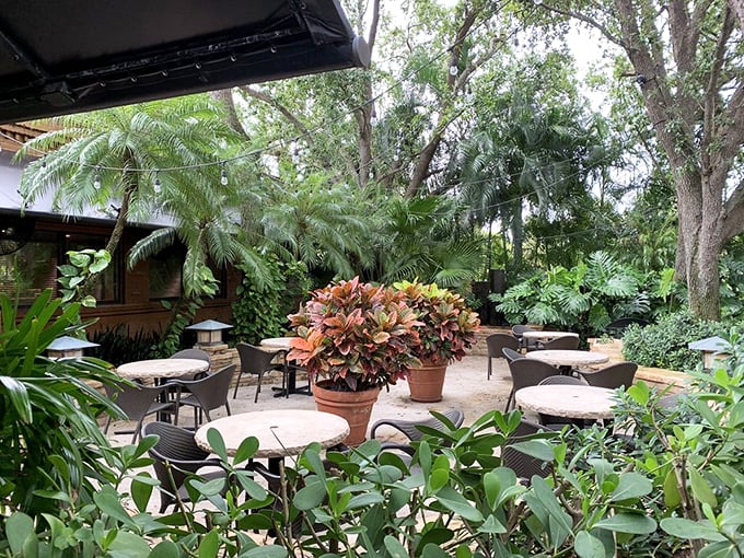 Florida dining at its finest—lush greenery, gentle breezes, and tables spaced far enough apart that you won't hear the neighboring table's vacation stories.