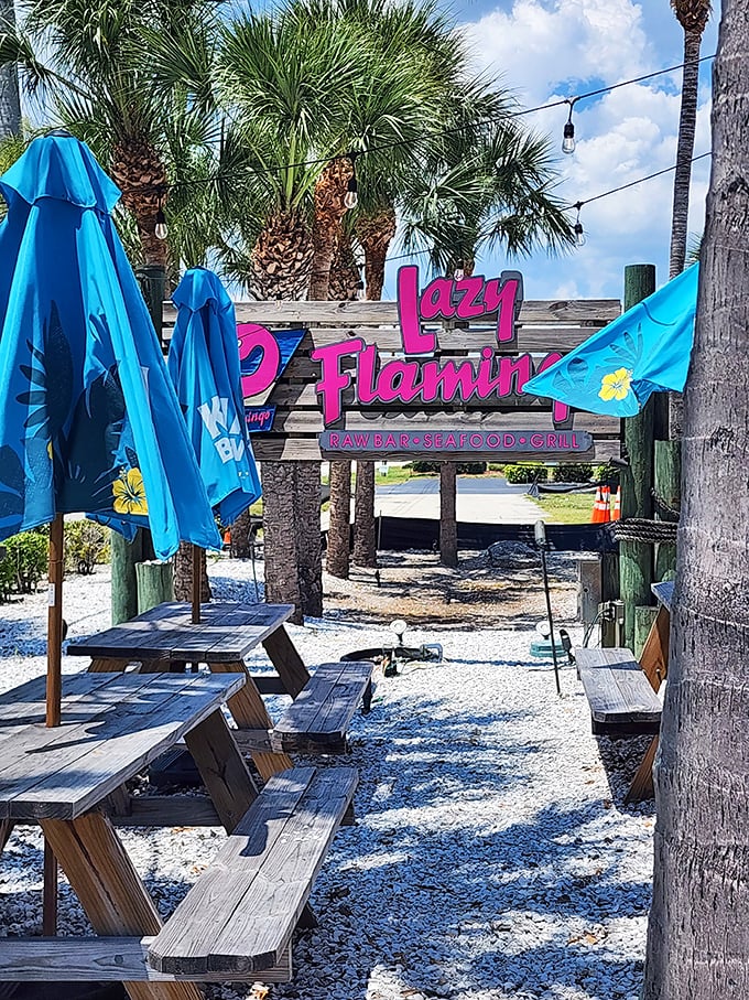Outdoor seating where the only dress code is "comfortable." Wooden picnic tables under blue umbrellas offer the perfect spot for casual feasting.