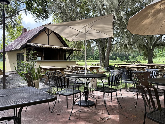 Shaded outdoor seating beneath Spanish moss creates the perfect Florida-meets-Germany atmosphere—like the Epcot version of Bavaria, but with better food.
