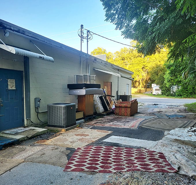 The outdoor overflow area – where larger items catch Florida sunshine while awaiting adoption. That red patterned rug has stories to tell.