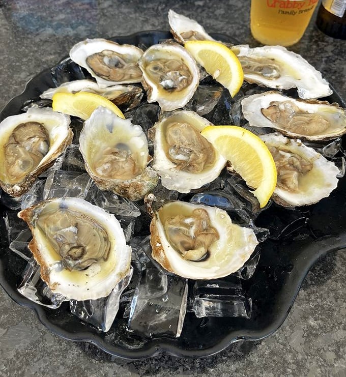 Fresh oysters on the half shell – nature's perfect appetizer, requiring nothing more than a squeeze of lemon and a moment of appreciation.