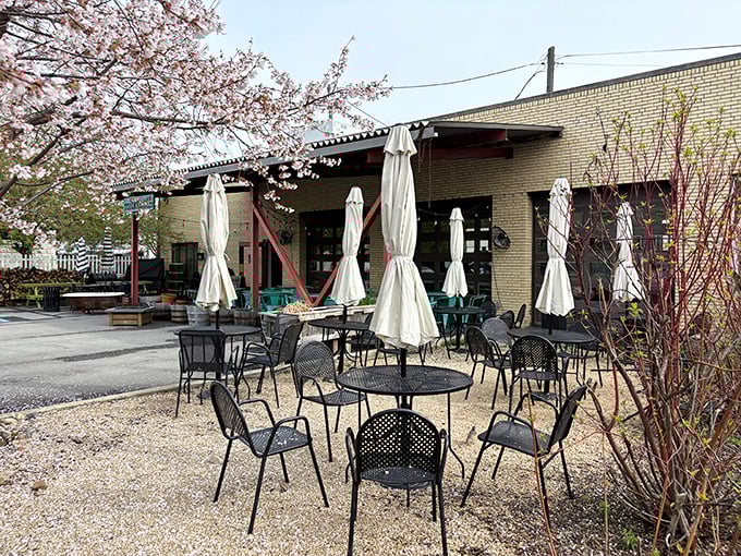 Spring blossoms frame the patio perfectly, nature's way of saying "eat outside, you deserve this" after a long Indiana winter.